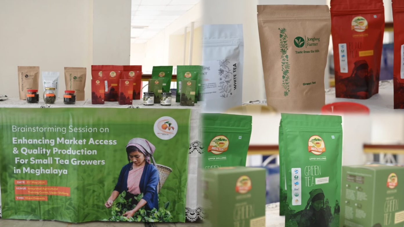MEGHALAYA TEA GETS A BOOST: BRAINSTORMING SESSION PAVES WAY FOR BETTER ...